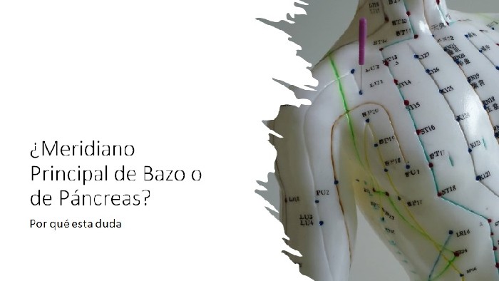 ¿Meridiano Principal de Bazo o de Páncreas? :: juanpablomolto